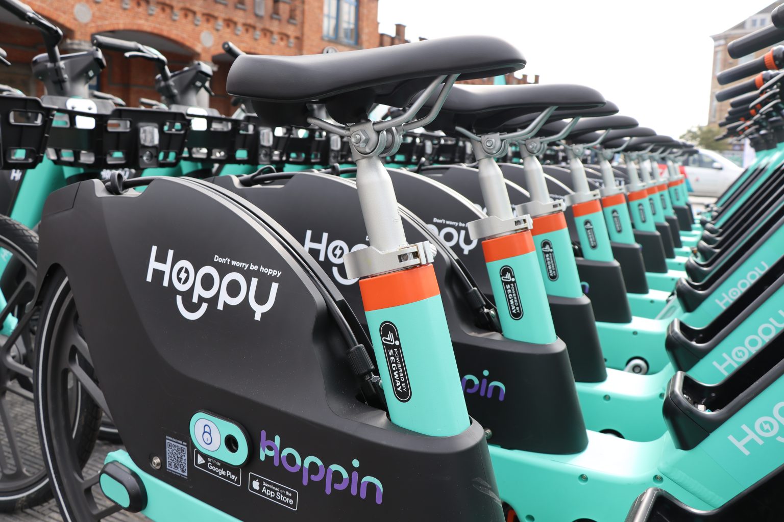 Hoppy x Hoppin - Hoppin